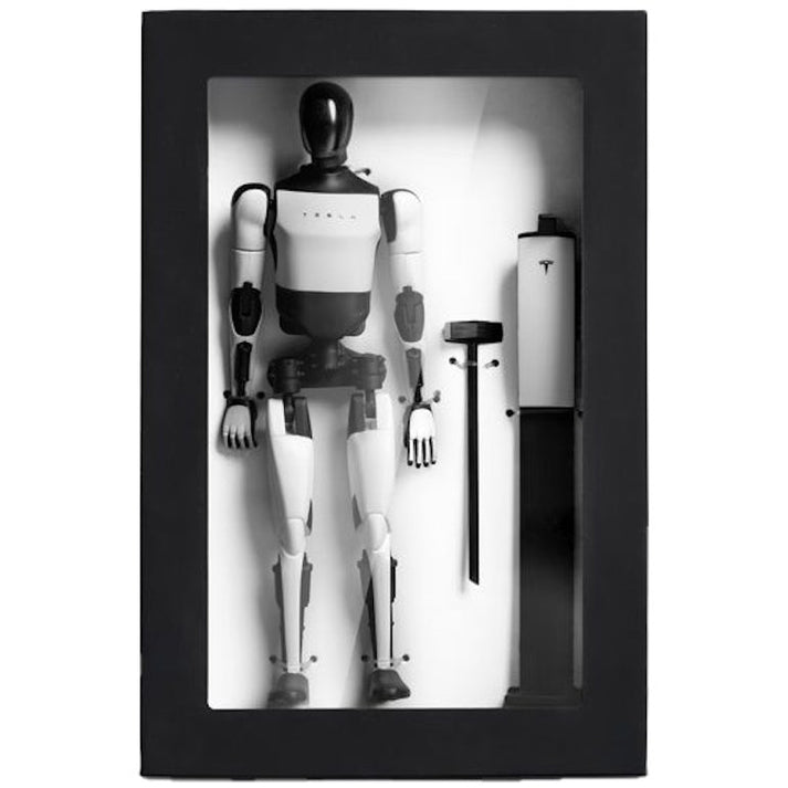All New The Official Tesla Bot Action Figure – Inaboxstore